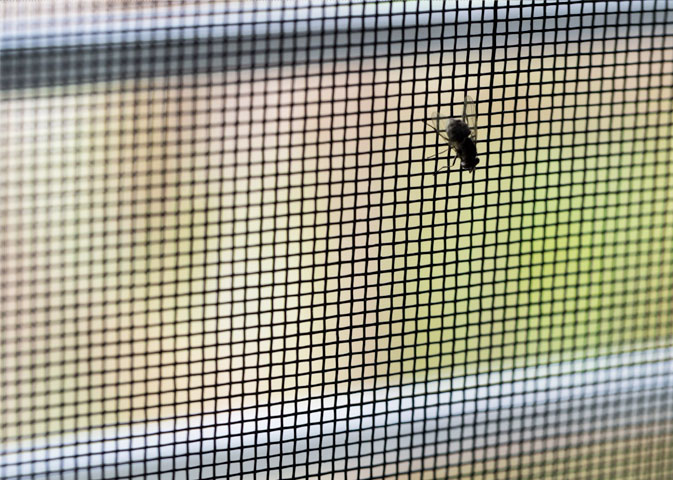 Fibreglass Mesh Flyscreens - AAA Trusses and Windows